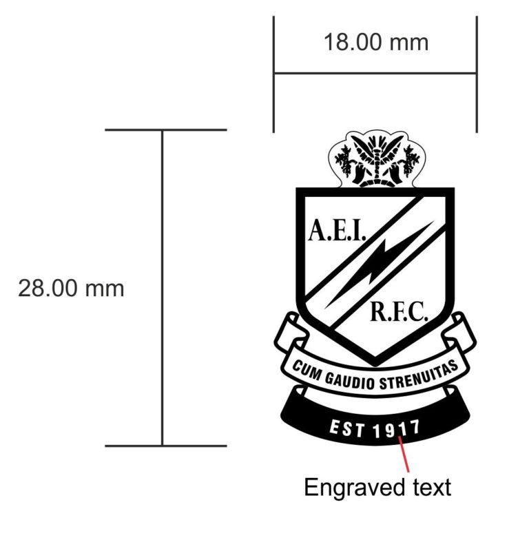 AEI (Rugby) RFC Lapel Badge – AEI Rugby